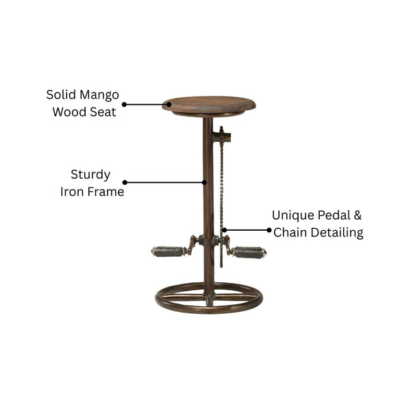 Cycle Stool - WOW Collection Stool - Wooden Stool - From Shekhawati